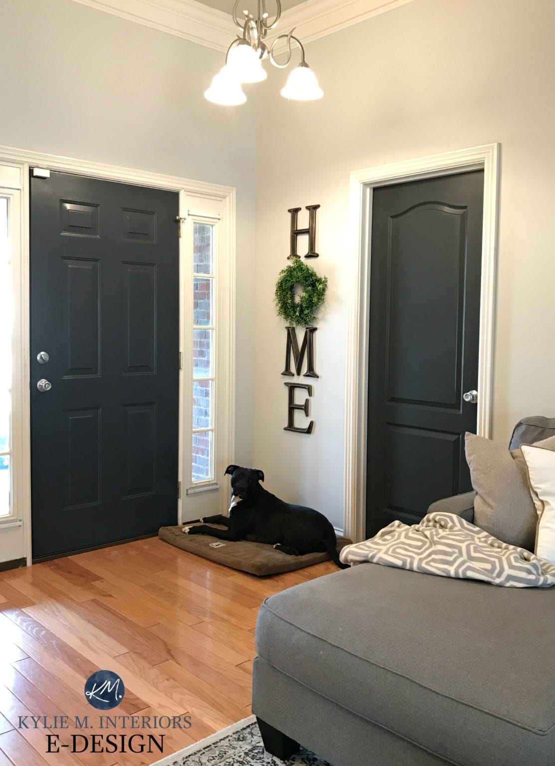 Sherwin Williams Iron Ore 7069: Undertones, LRV, & Best Uses