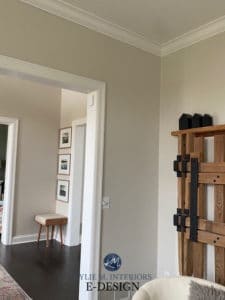 Sherwin Williams Natural Tan SW 7567: Paint Color Review