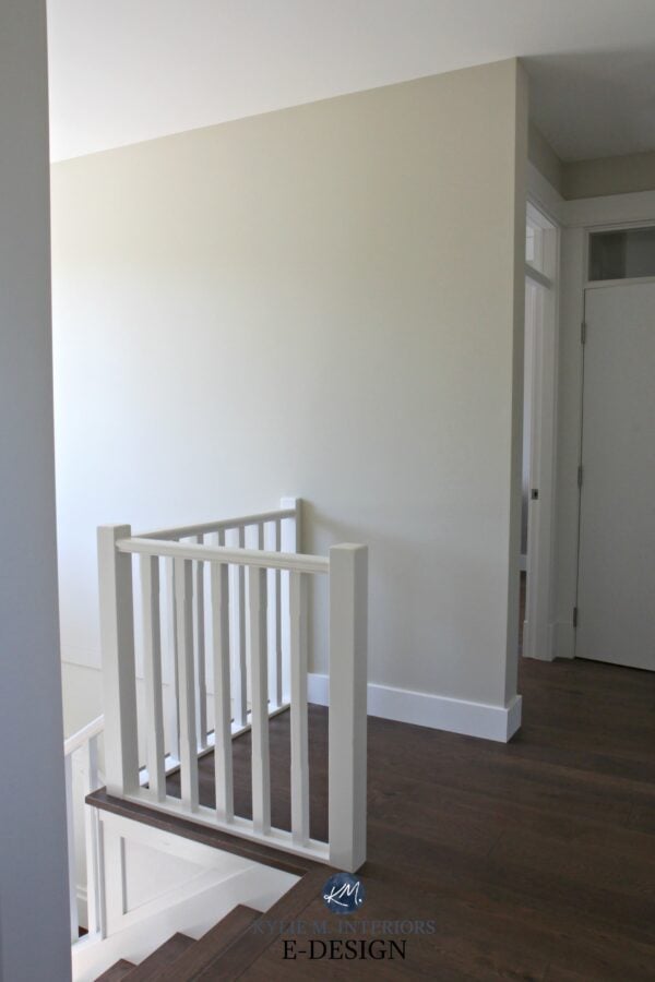 Sherwin Williams Wool Skein SW 6148: Paint Color Review