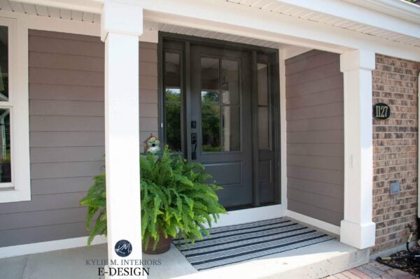 Sherwin Williams Alpaca SW 7022: Paint Color Review