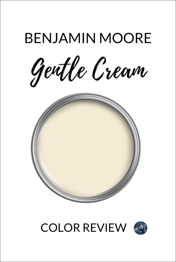 Sherwin Williams Intellectual Gray: Images, Undertones, & Real-Life Uses