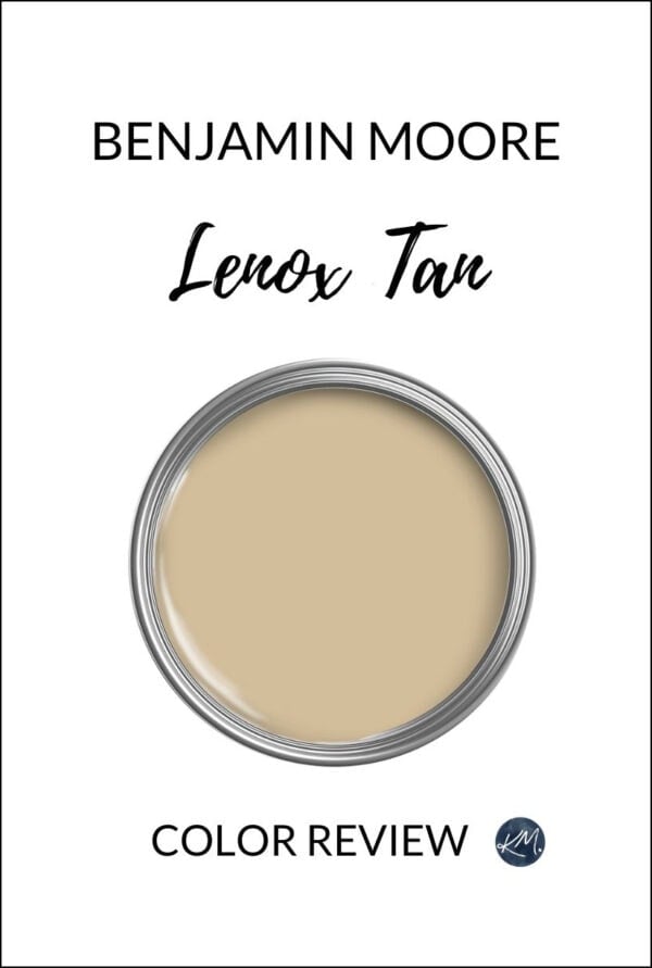 Benjamin Moore Rodeo 1534: Paint Color Review