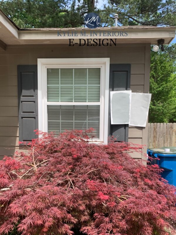 Sherwin Williams Silverplate SW 7649: Paint Color Review
