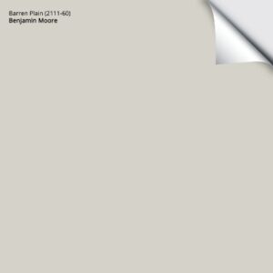 Benjamin Moore Abalone & Barren Plain: Paint Color Review