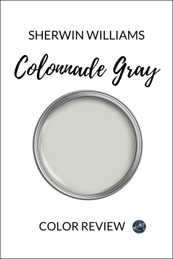 Sherwin Williams Colonnade Gray (7641): Undertones, LRV, & Real-Home ...