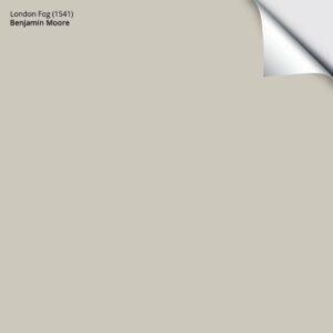 Benjamin Moore London Fog 1541: Undertones, LRV, & More