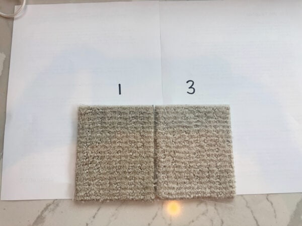 How to Choose the Right Carpet Color
