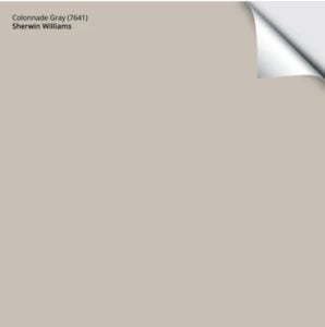 Sherwin Williams Colonnade Gray (7641): Undertones, LRV, & Real-Home ...