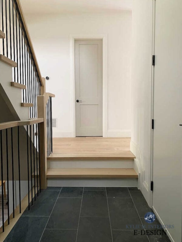 Sherwin Williams Agreeable Gray vs Repose Gray, Revere Pewter & More