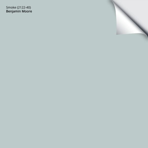 BENJAMIN MOORE SMOKE 2122-40: Paint Color Review