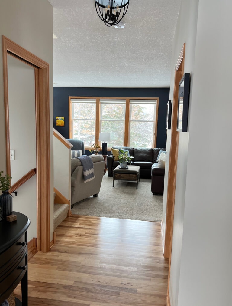 Sherwin Williams Cyberspace SW 7076: Paint Color Review