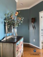 The TOP 13 Shades of MEDIUM Blue Paint Colors