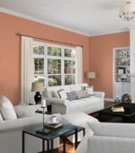 HGTV HOME by SHERWIN WILLIAMS PERSIMMON: 2024 Color of the Year
