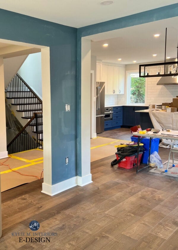 The TOP 13 Shades of MEDIUM Blue Paint Colors