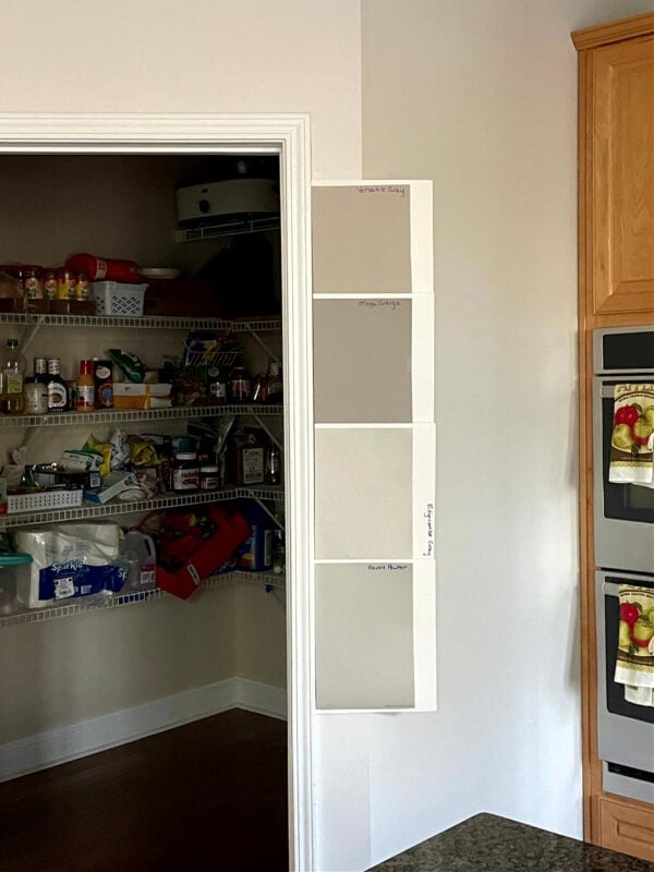 Sherwin Williams Mega Greige: Paint Color Review