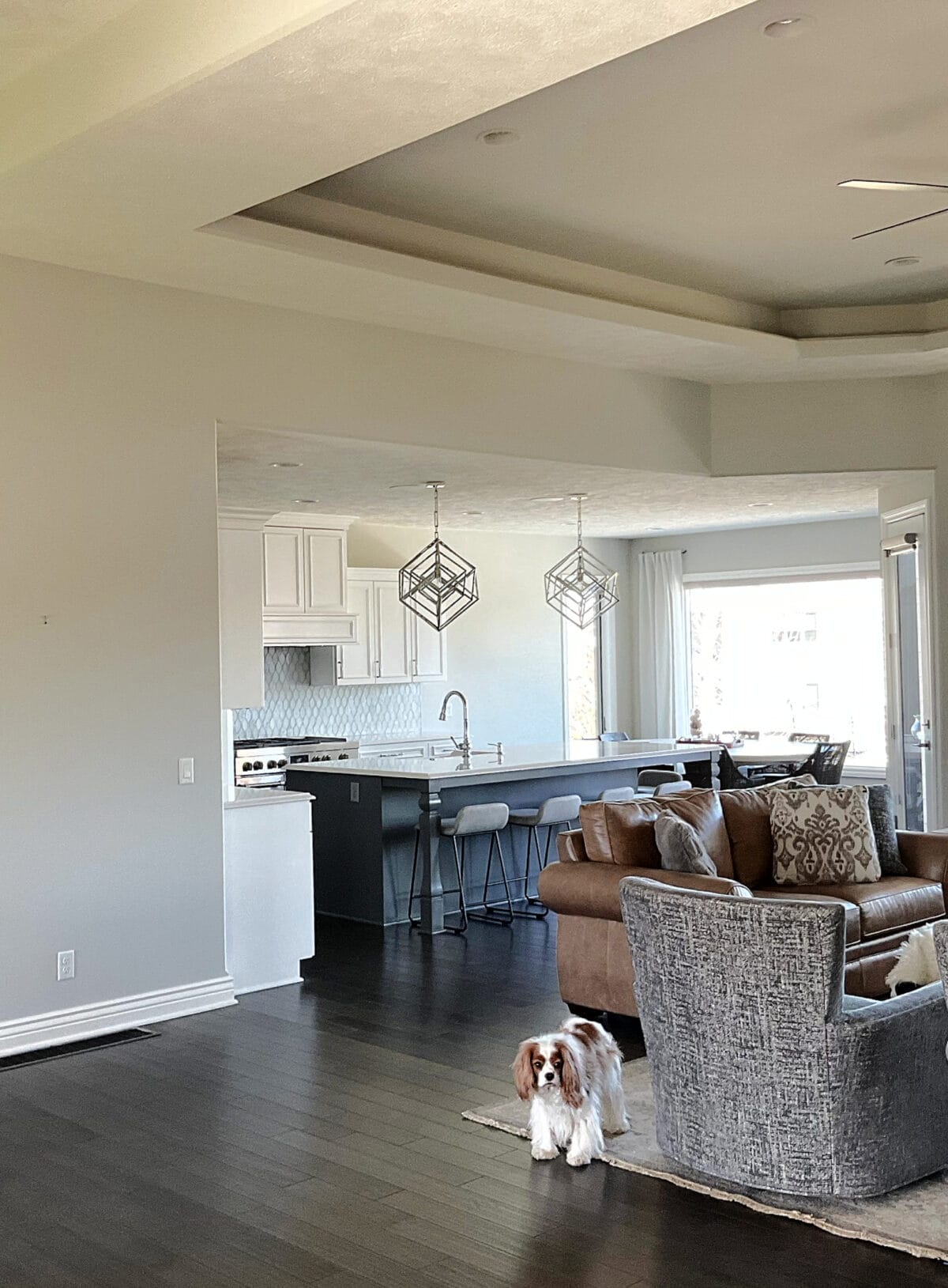 Sherwin Williams Repose Gray (7015): Undertones, LRV, & Real Home Results