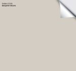 Benjamin Moore Rodeo 1534: Paint Color Review