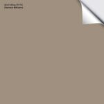 Sherwin Williams Moth Wing 9174: Paint Color Review