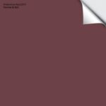 The Best Burgundy Paint Colors