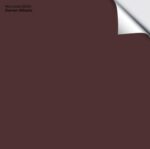The Best Burgundy Paint Colors