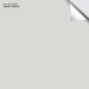 Sherwin Williams First Star: Paint Color Review