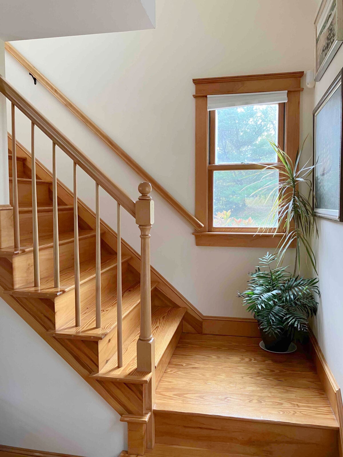 The 16+ Best Paint Colors to Update Light Wood Cabinets, Trims ...
