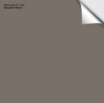 Benjamin Moore Metropolis CC-546: Paint Color Review