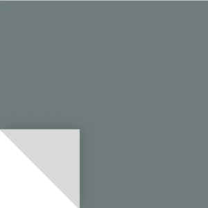 Sherwin Williams Foggy Day: Paint Color Review