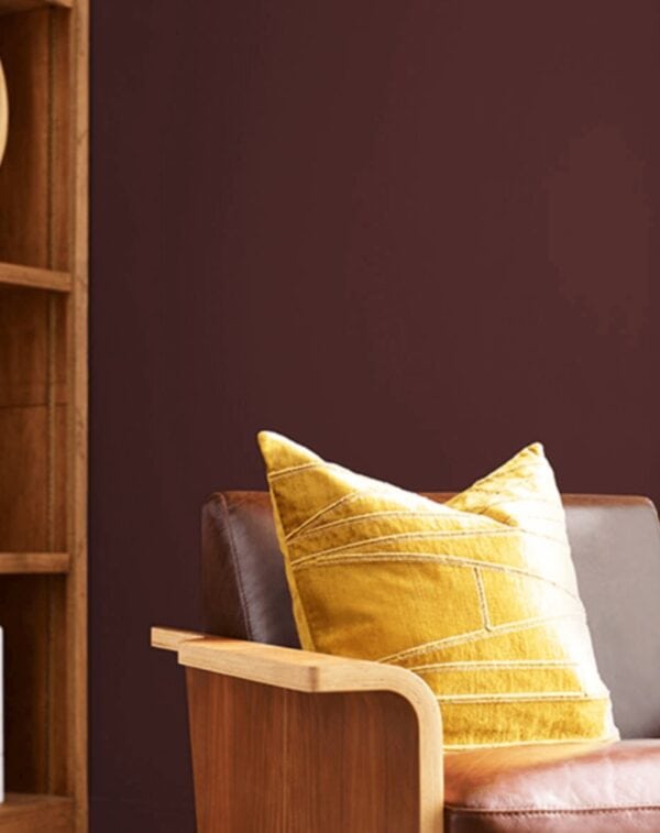 The 9 Best Oxblood Paint Colors