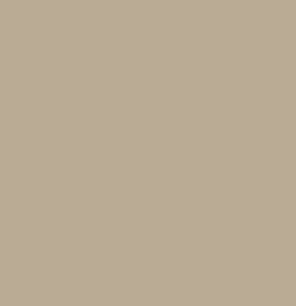 Sherwin Williams Universal Khaki: Color Review