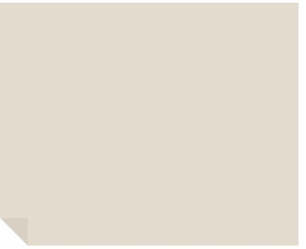 Sherwin Williams White Sesame: Undertones, Lighting, & Best Uses