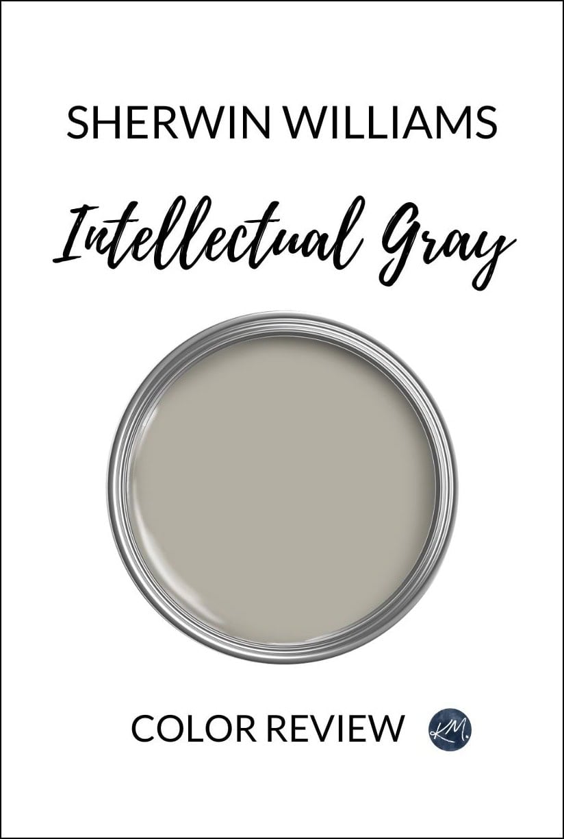 Sherwin Williams Intellectual Gray